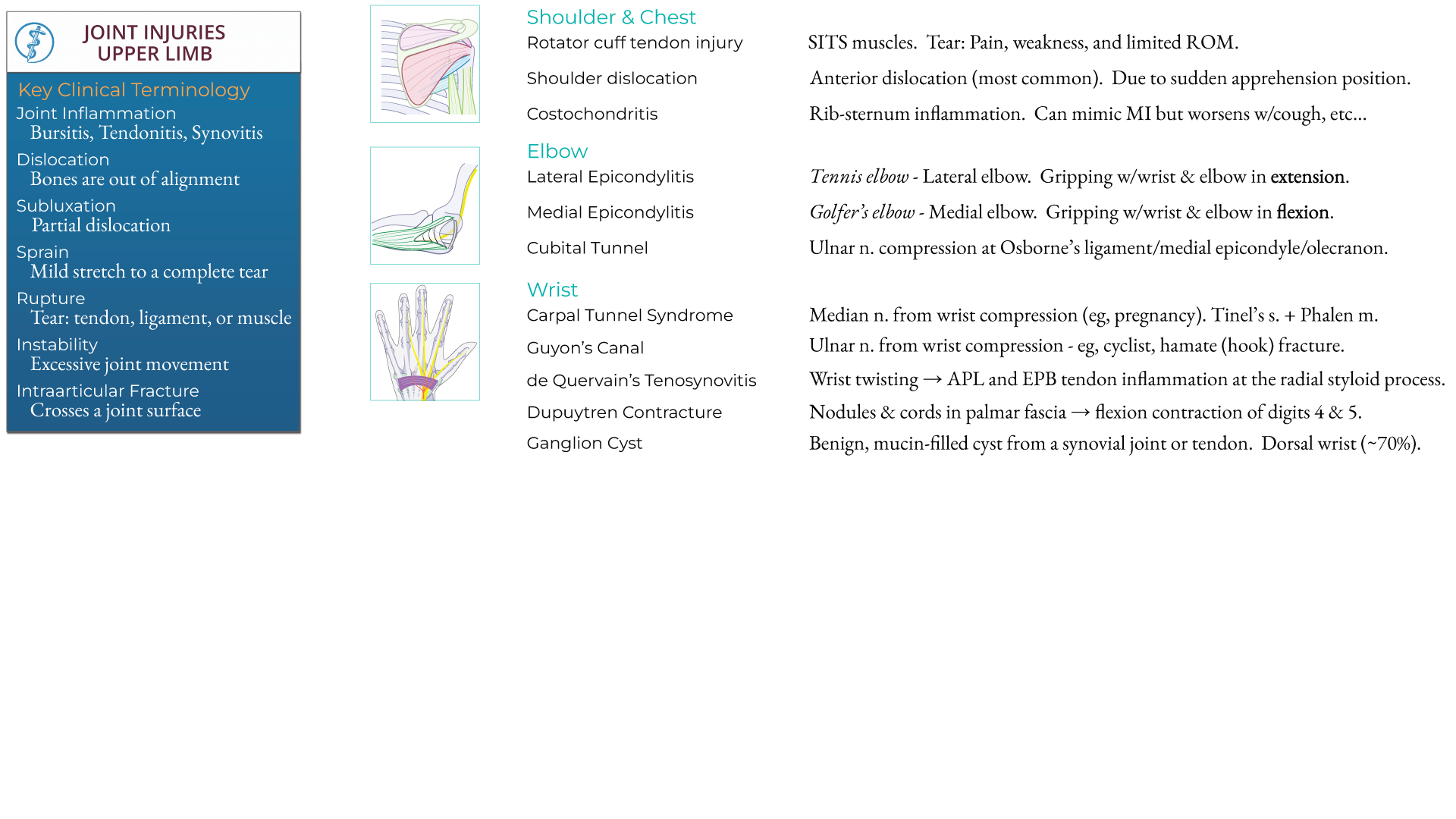 Clinical Medicine: Joint Injuries - Upper Limb | Draw It to Know It