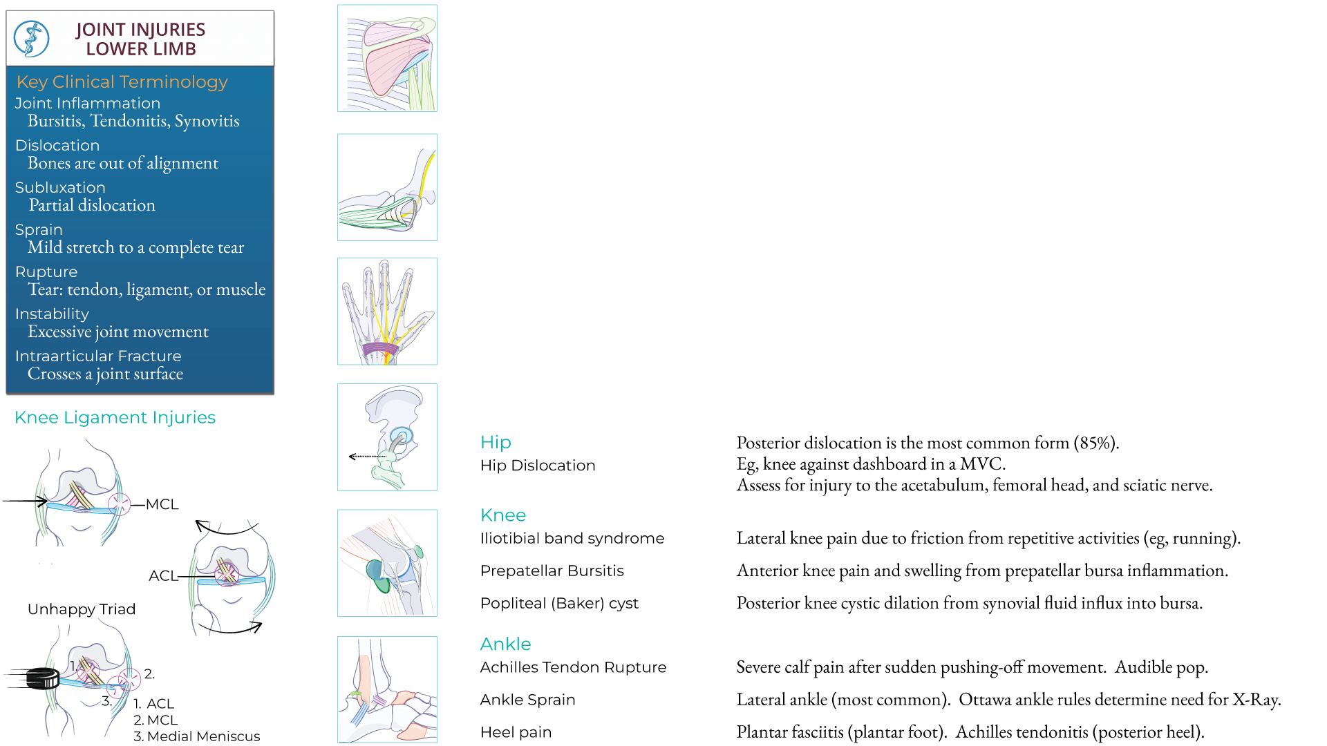 Clinical Medicine: Joint Injuries - Lower Limb | Draw It to Know It