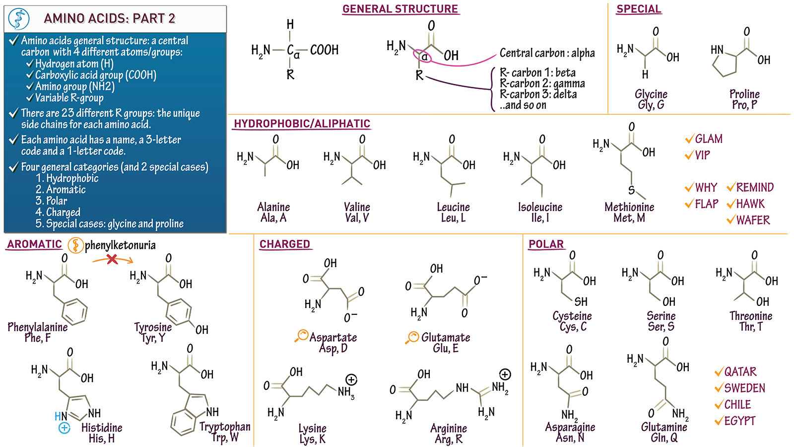 Biochemistry Amino Acid Structures Part II Ditki Medical Biochemistry Amino Acid Structures Part II Ditki Medical