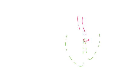 Anatomy & Physiology: Internal Features of the Heart | ditki medical ...