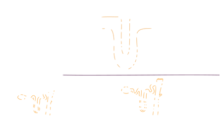 USMLE, Limited Edition: Corticopapillary Osmotic Gradient | ditki ...