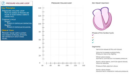 Cardiovascular System: Pressure-Volume Loop (Left Ventricle) | ditki ...