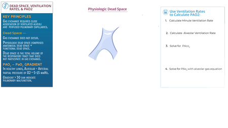 Physiology: Dead Space and Ventilation Rates | ditki medical ...
