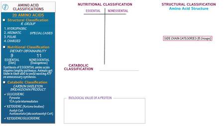 Biochemistry: Amino Acid Classification Systems | ditki medical ...