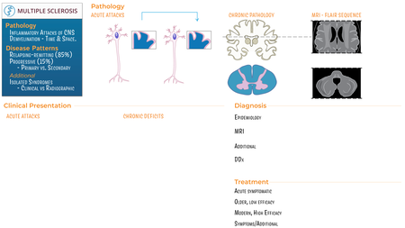 Clinical Pathology: Multiple Sclerosis (MS) | ditki medical ...