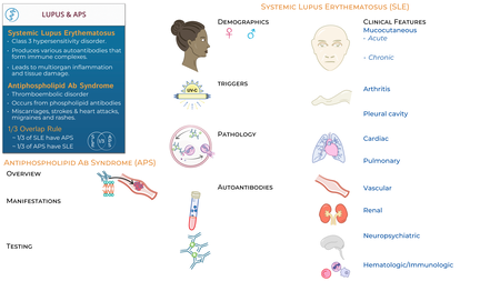 Clinical Pathology: Lupus (SLE) & Antiphospholipid (APS) | ditki ...