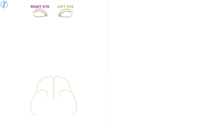 Neuroanatomy: Final Common Pathway | ditki medical & biological sciences