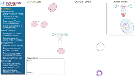 Clinical Pathology: Ovarian Cysts and Tumors | ditki medical ...