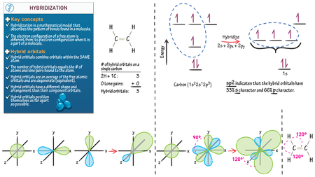 Organic Chemistry Drills: Hybridization | ditki medical & biological ...
