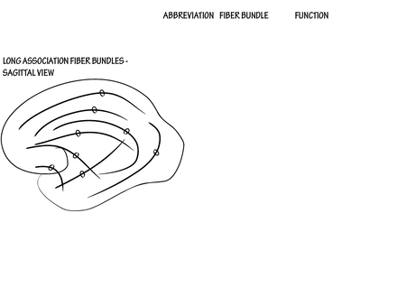 Neuroscience Fundamentals: Long Association Fibers | ditki medical ...