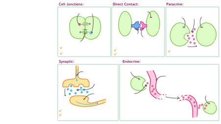 General Biology: Cellular Communication | ditki medical & biological ...
