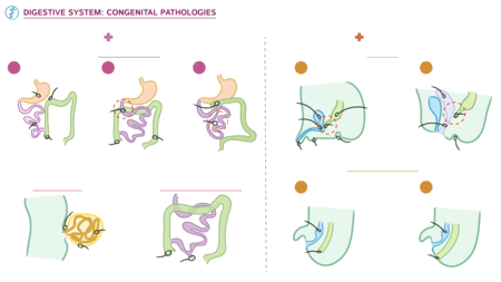 Clinical Pathology: Congenital Intestinal Defects | ditki medical ...