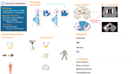 Clinical Pathology: Multiple Sclerosis (MS) | ditki medical ...