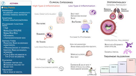 USMLE / COMLEX - Step 1: Asthma | ditki medical & biological sciences