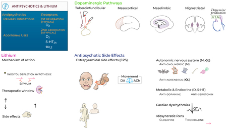 Clinical Medicine: Antipsychotics & Lithium | ditki medical ...