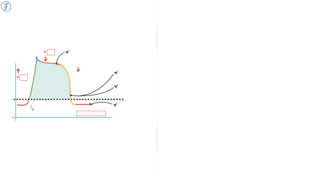 Physiology: Cardiac Action Potential | ditki medical & biological sciences