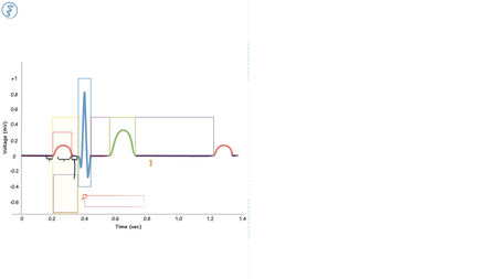 Anatomy & Physiology: ECG Graph | ditki medical & biological sciences