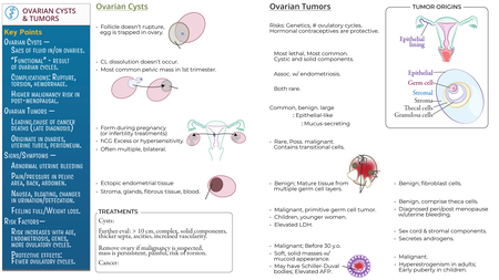 Clinical Pathology: Ovarian Cysts and Tumors | ditki medical ...