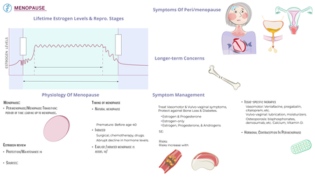Physiology: Menopause | ditki medical & biological sciences
